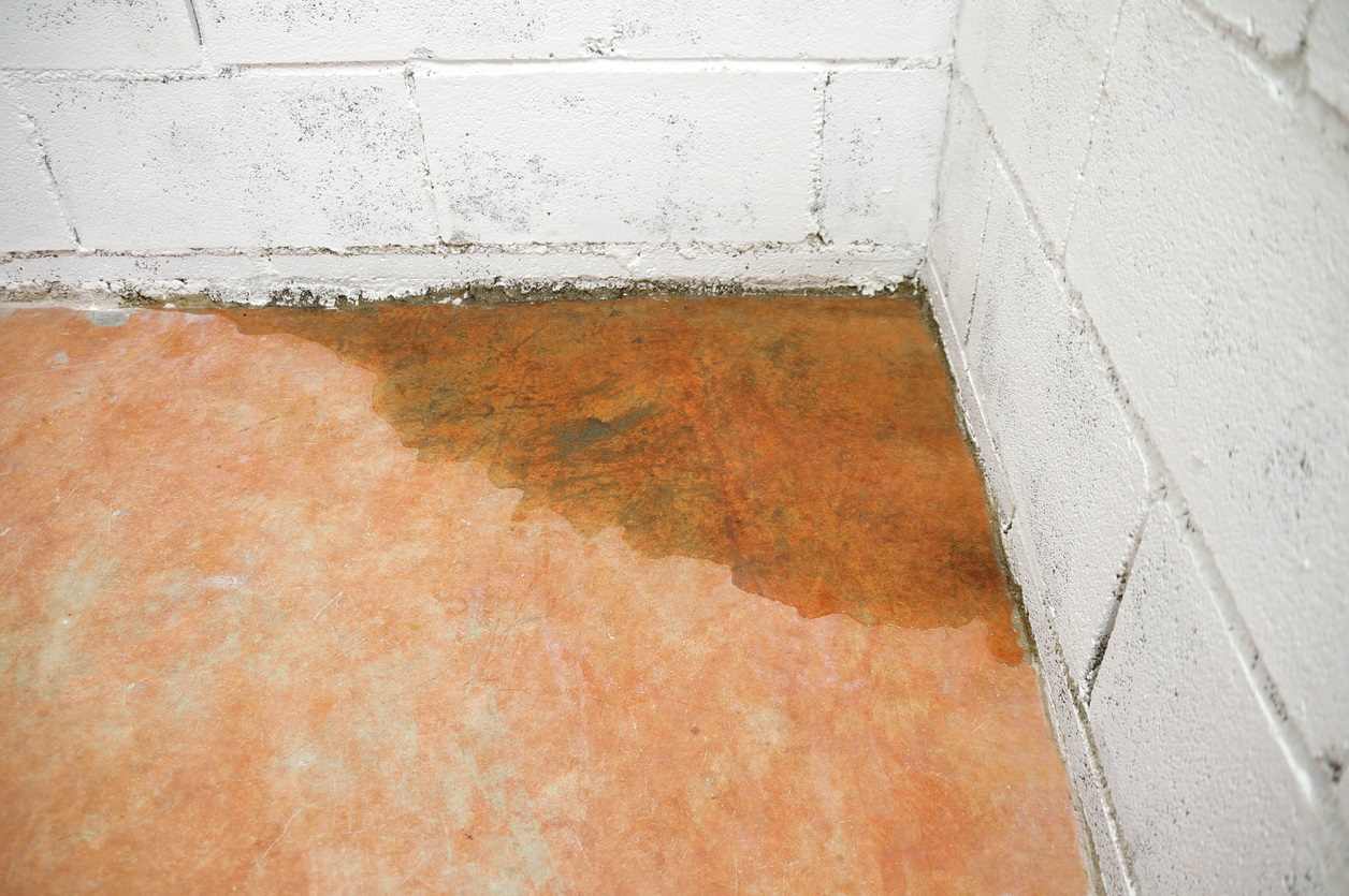 Identifying the Early Signs of a Slab Leak | Staggs Plumbing